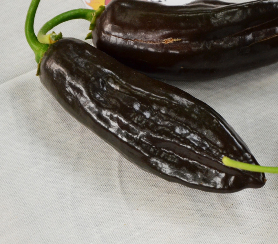Aji Panca Pepper Seeds