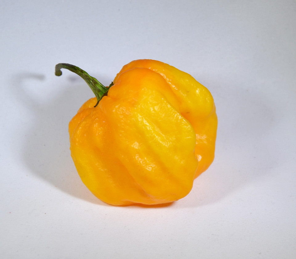 Orange Sun Pepper Seeds
