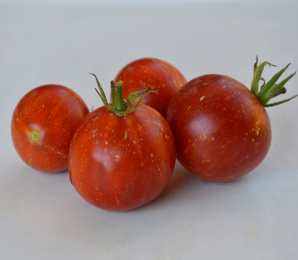Cascade Village Blue Tomato Seeds
