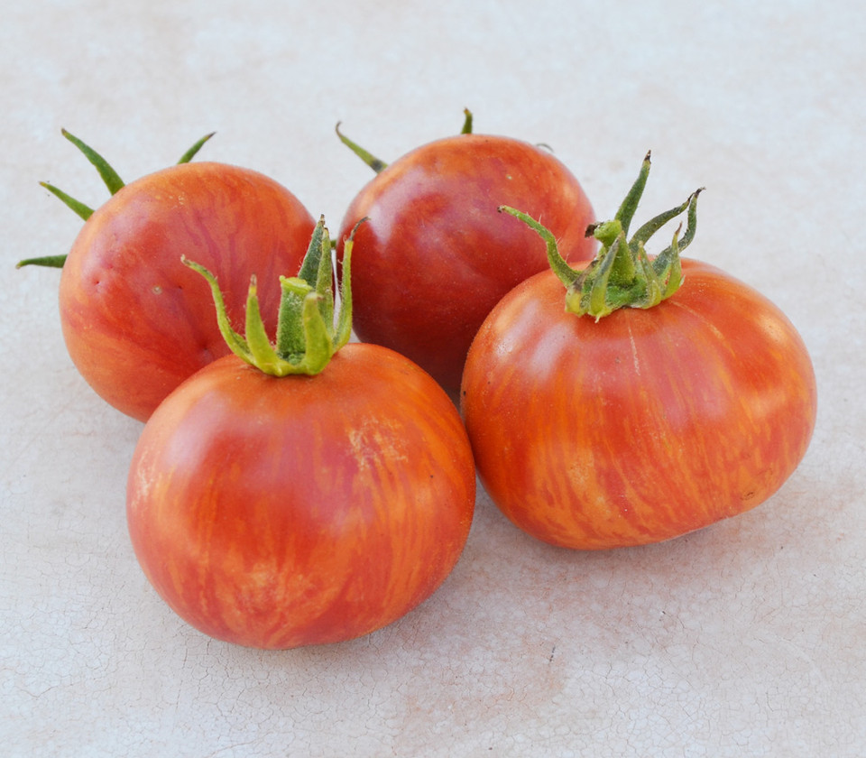 Black Dragon Tomato Seeds