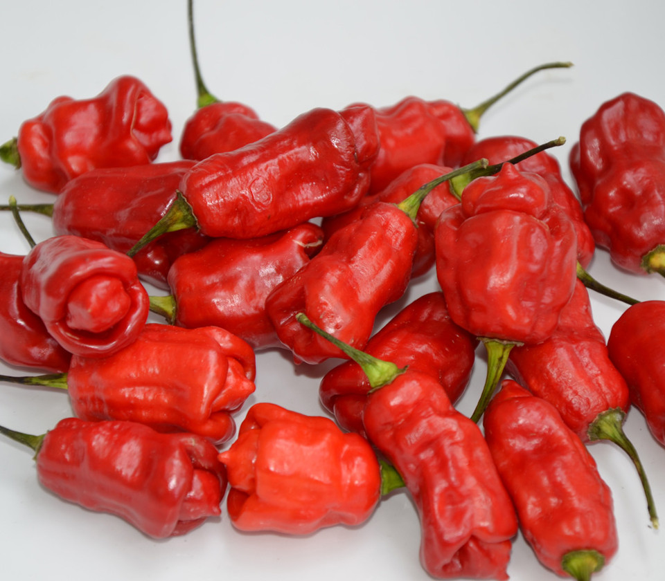 Trinidad Perfume Pepper Seeds