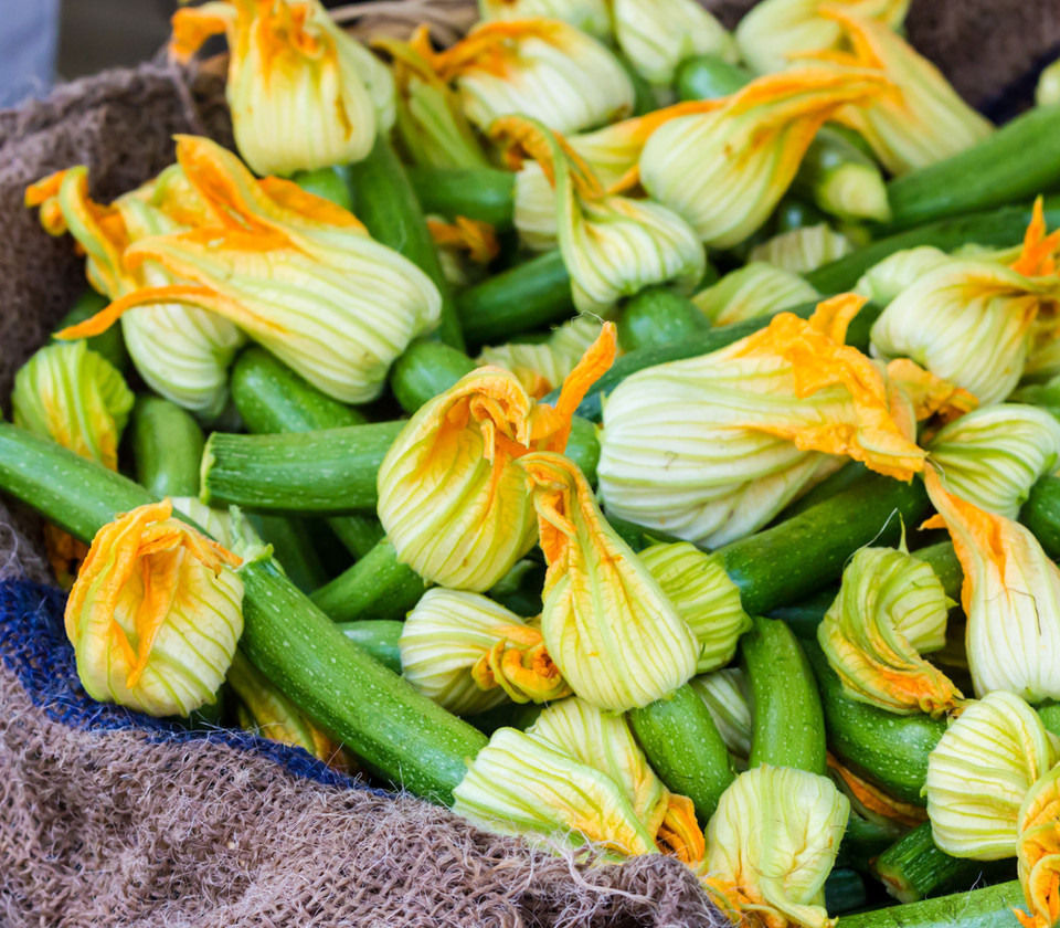 Zucchini, Cocozelle Seeds