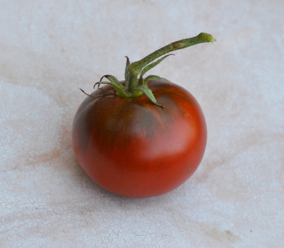 Brown Berry Tomato Seeds
