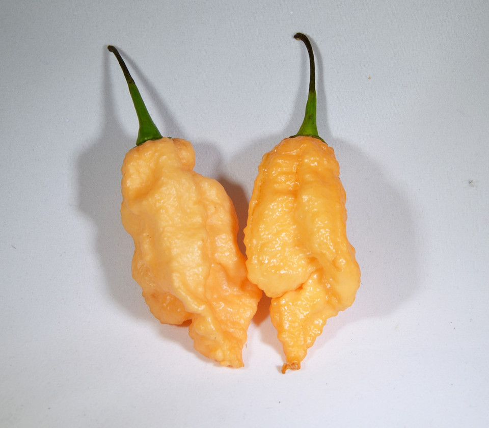 Sugar Rush Peach Pepper Seeds