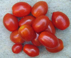 Green Grape Tomato Seeds