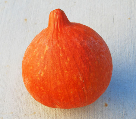 Red Kuri Squash Seeds