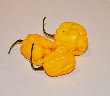 Trinidad Scorpion Yellow Pepper Seeds