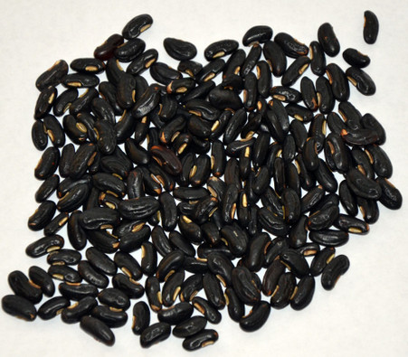Yard Long Bean, Black Seed Seeds