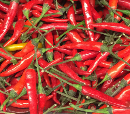Takanotsume Pepper Seeds