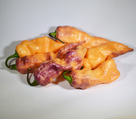 Pink Tiger Pepper Seeds