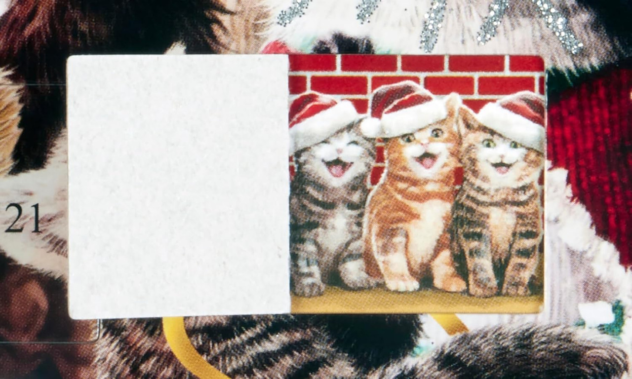 Christmas Pets Advent Calendar
