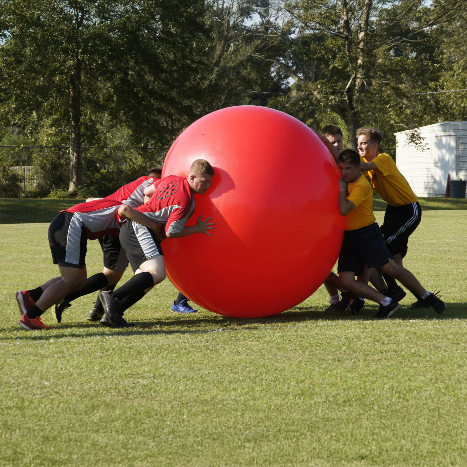Gymnic Mega Balls