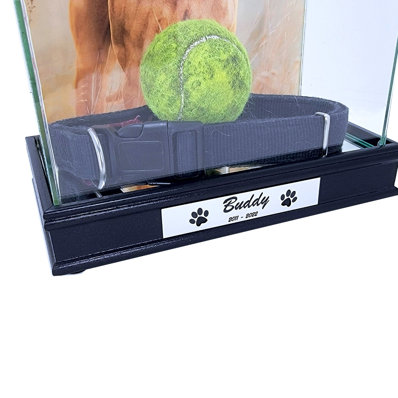 Pet Memorial Display Case with 8x10 Photo Print in The Back and Custom ...