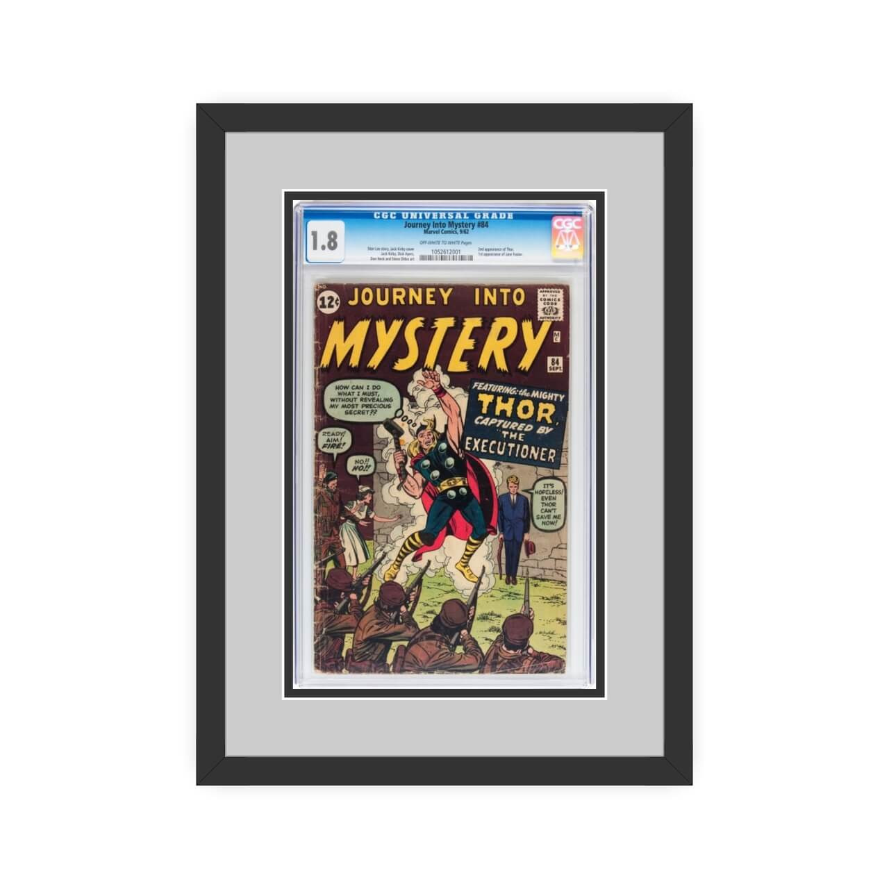 Single Comic Book Frame | Perfect Cases, Inc.