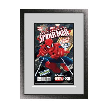 Comic Book Display Frame | Perfect Cases and Frames
