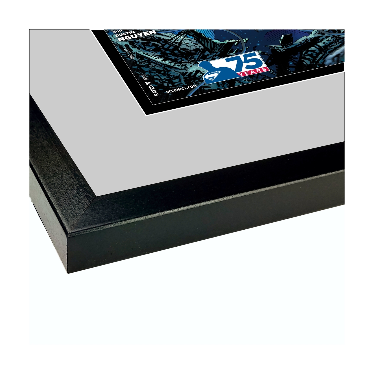 Single Comic Book Frame with Engraving | Perfect Cases, Inc.