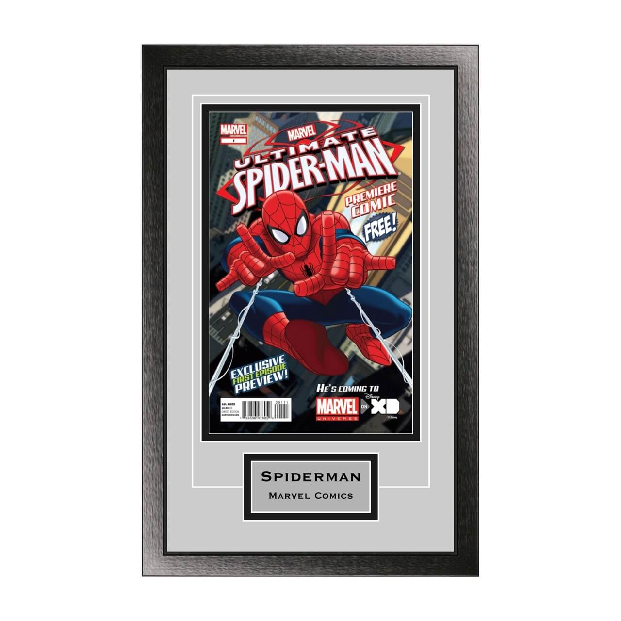 Single Comic Book Frame with Engraving | Perfect Cases, Inc.