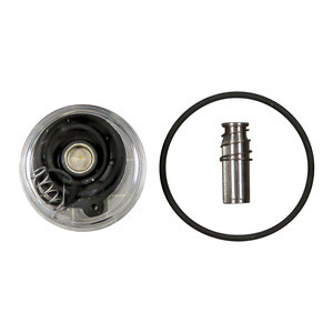 Valve Repair Kit, 24VAC Demand Drain, material number 3210722, Hankison
