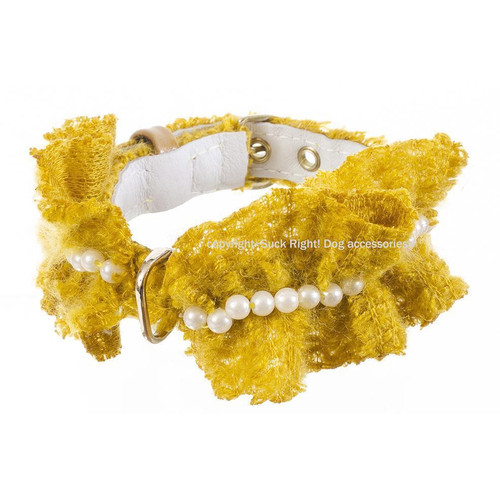 A Real Fashionista Dog Collar