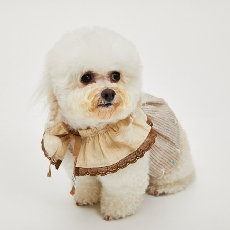 Louisdog Butter Frill Collar