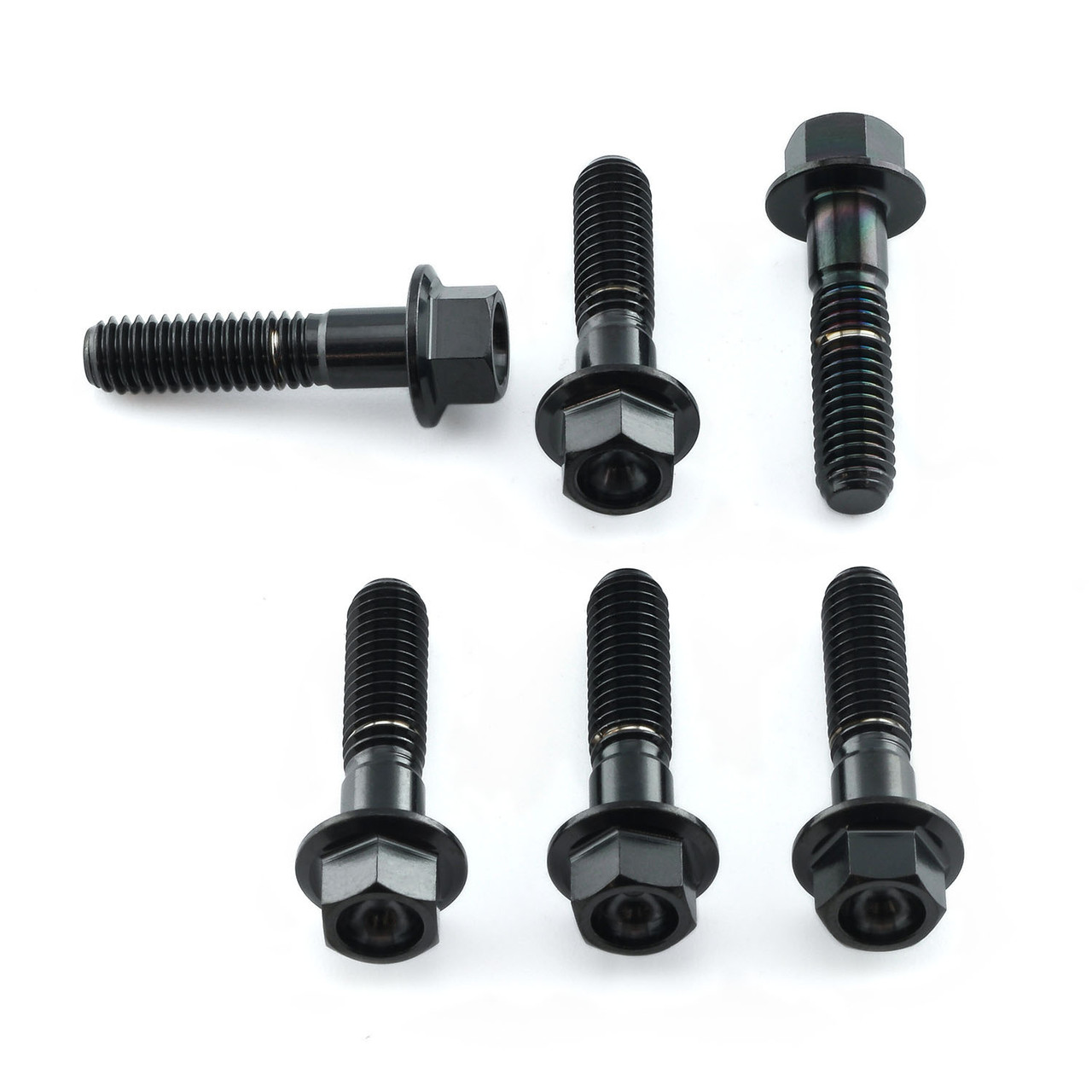 Stainless Steel Disc Bolt Flanged Hex Front Pack x6 | Pro-Bolt