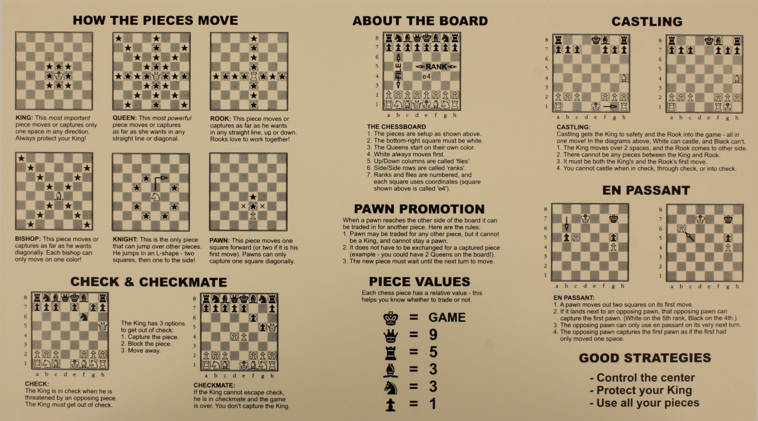 The Chess Rules Teaching Companion - The Chess Store
