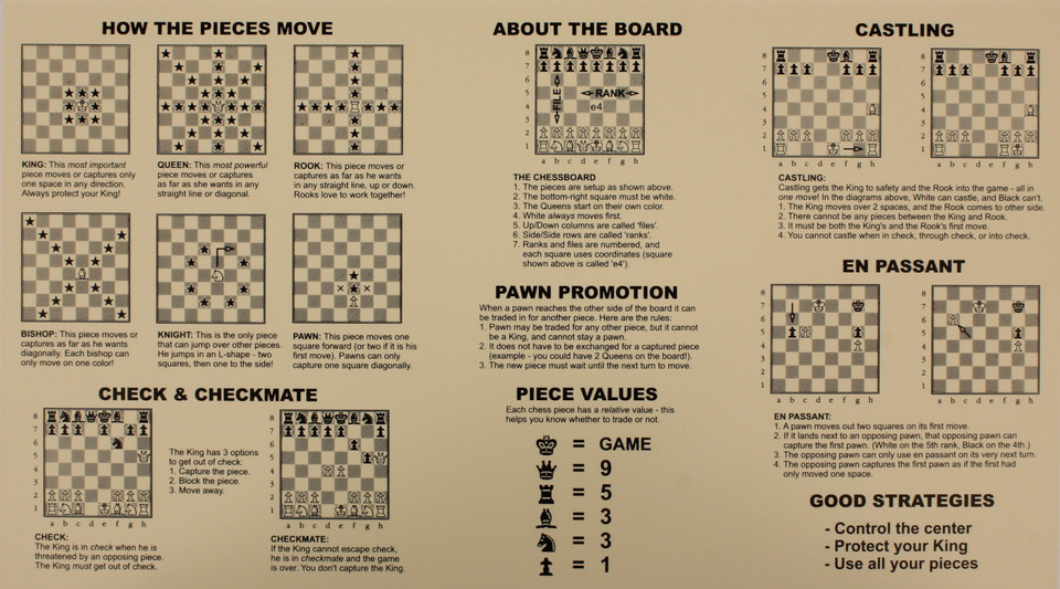 The Chess Rules Teaching Companion - The Chess Store
