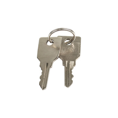Hills Antenna Home Hub 24HHSPK Spare Keys | Replacement Keys