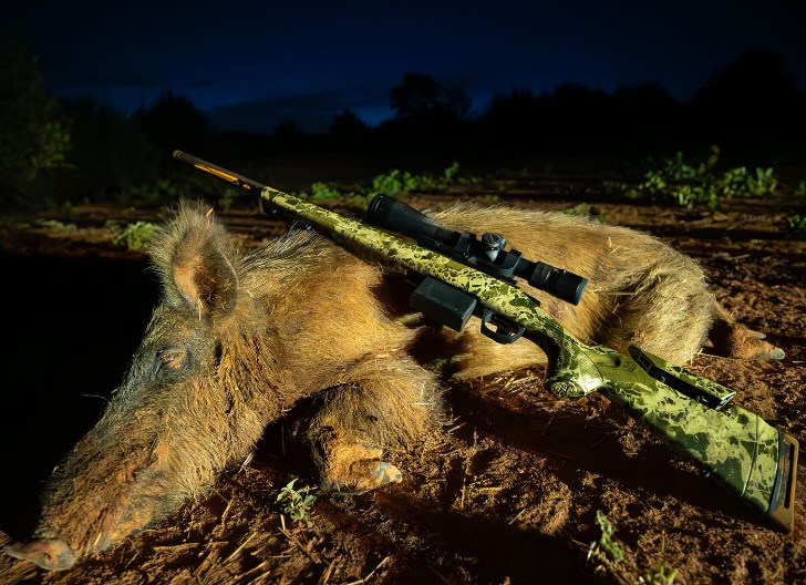 Varmint Hunting 101: Why It Matters - BPI Outdoors, Inc