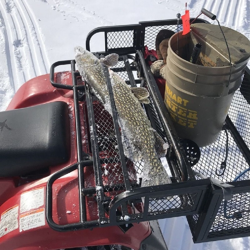 Kawasaki Mule / Ridge / Teryx Rear Drop Cargo Basket Rack - 150 lb. by ...