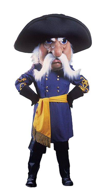 Rebel Costume As Pictured