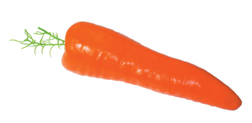 Carrot Foam 5 Inch