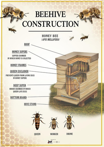 Beehive construction - United Kingdom
