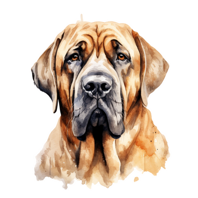 Spanish Mastiff (4) Poster Canvas Movie Film Print A0 A1 A2 A3 A4 A5 A6 ...