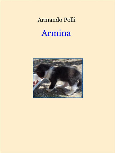 Armina - ebook