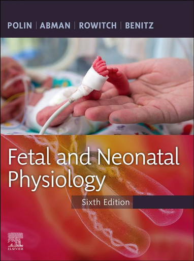Fetal and Neonatal Physiology E-Book - ebook