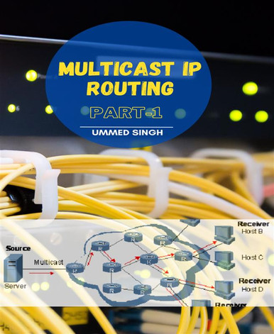 MULTICAST IP ROUTING - ebook
