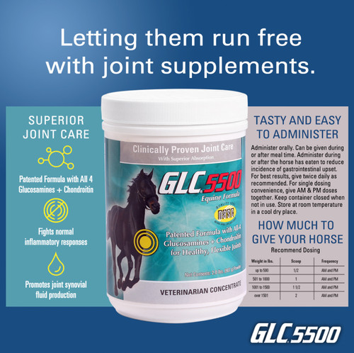 GLC 5500® 2 lb (907 g) Equine Powder - War Bar Tack