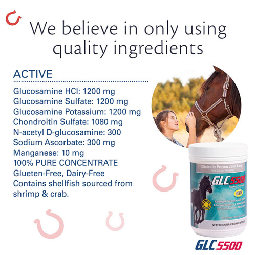 GLC 5500® 2 lb (907 g) Equine Powder - War Bar Tack