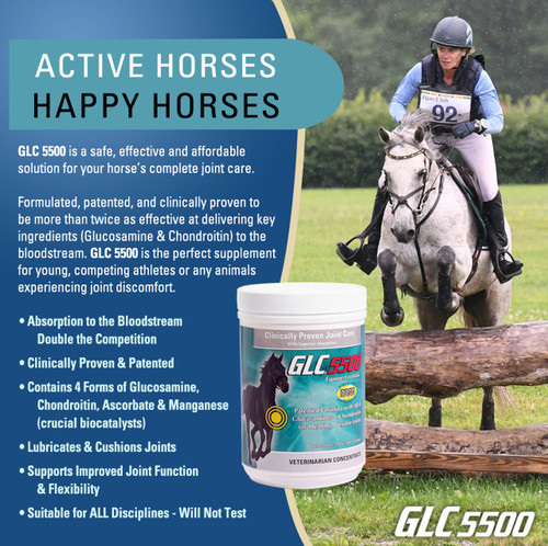 GLC 5500® 2 lb (907 g) Equine Powder - War Bar Tack