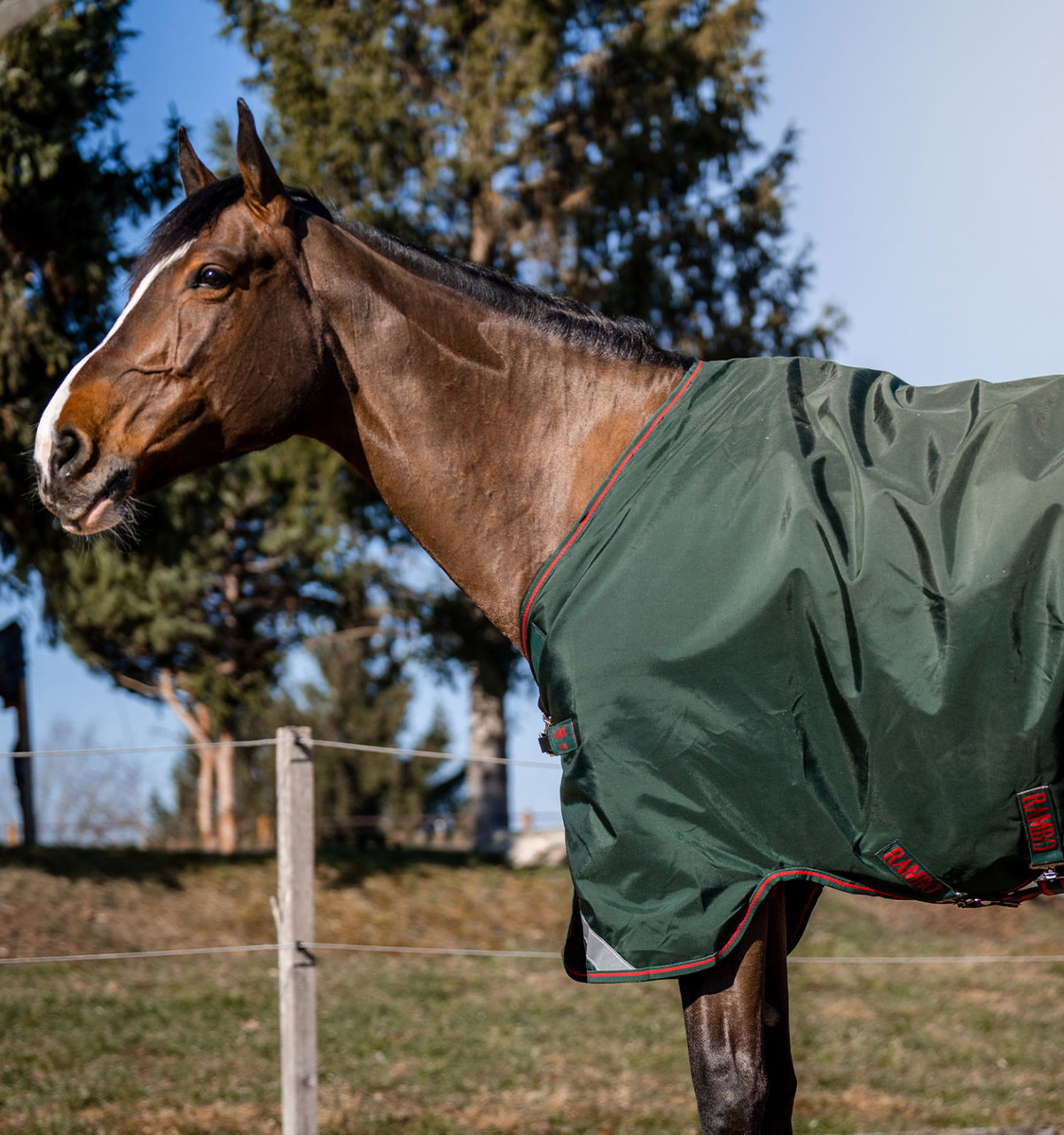 Rambo Original Turnout Lite with Leg Arches 100g - Green/Red - Do Trot ...
