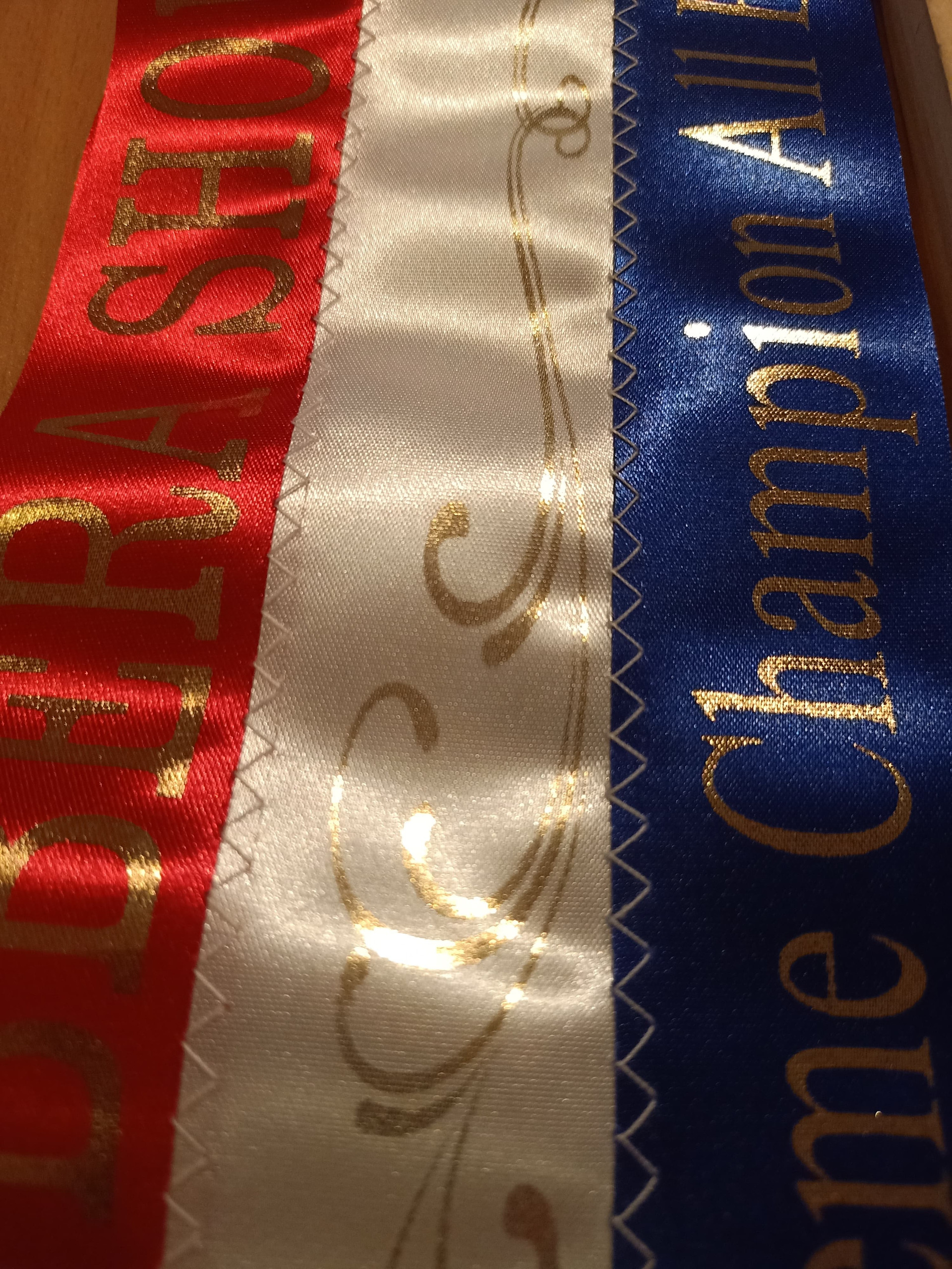 Sashes (Tri Colour)
