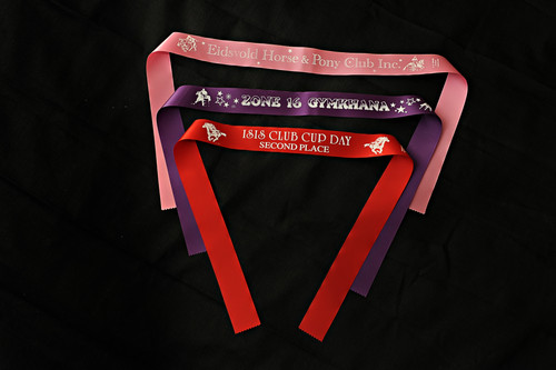 Place Ribbons (120cm x 5cm)