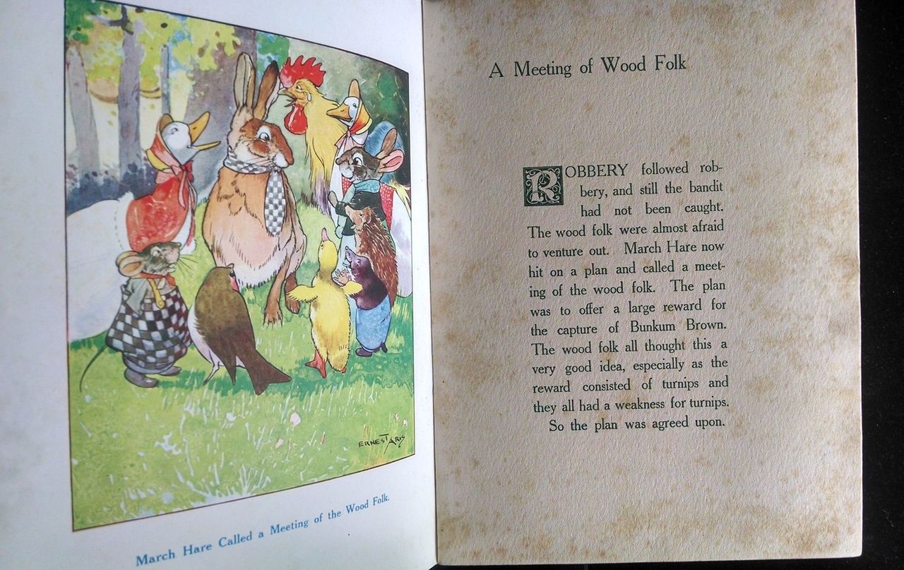 BUNKUM BROWN BANDIT Aris Childrens Illustrated Color Rabbit Animals ...