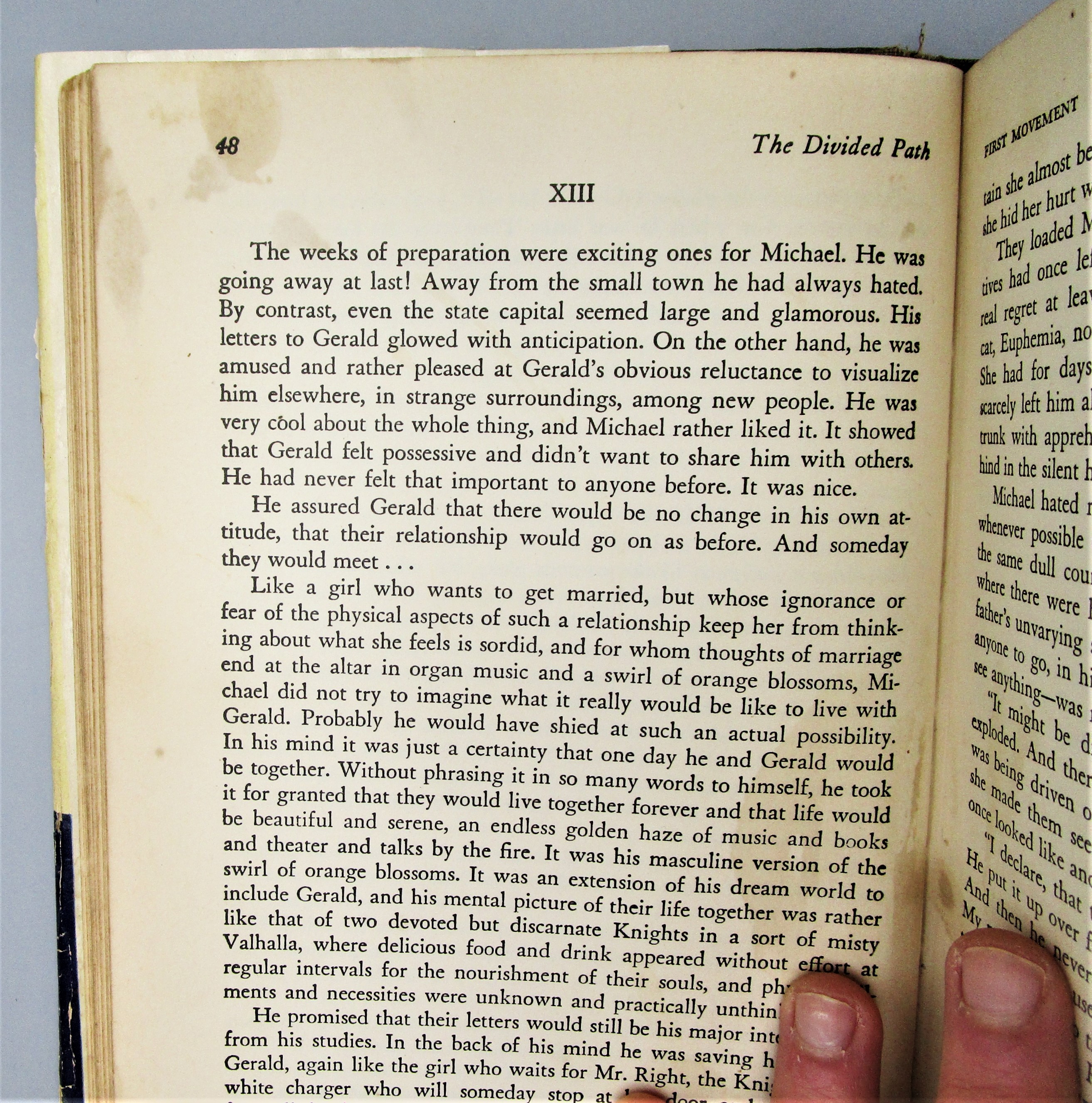 The Divided Path | Panoply Books