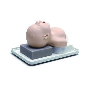 Infant Airway Management Trainer