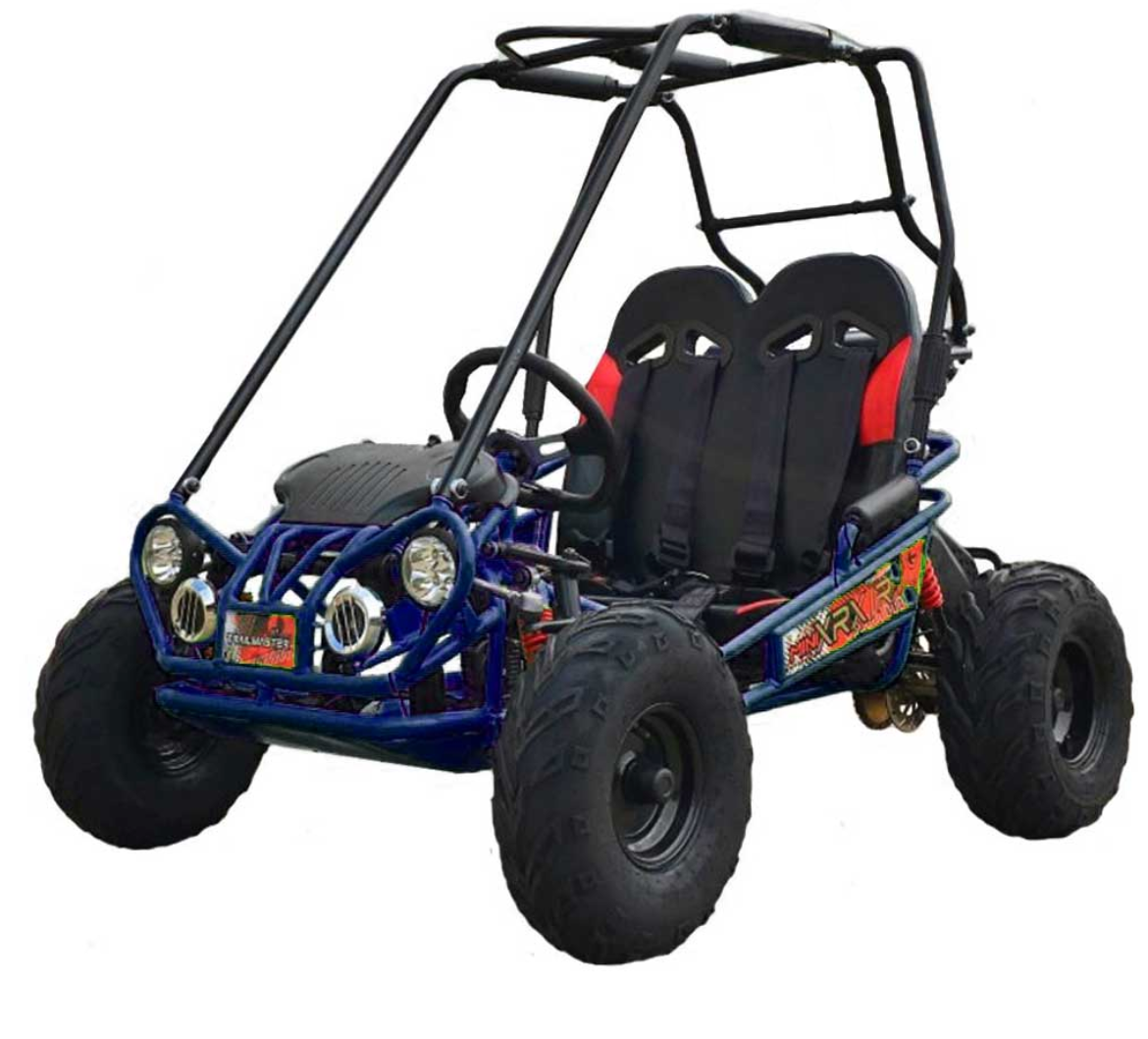 TrailMaster Mini XRX+ Kids Go Kart Ages 4+