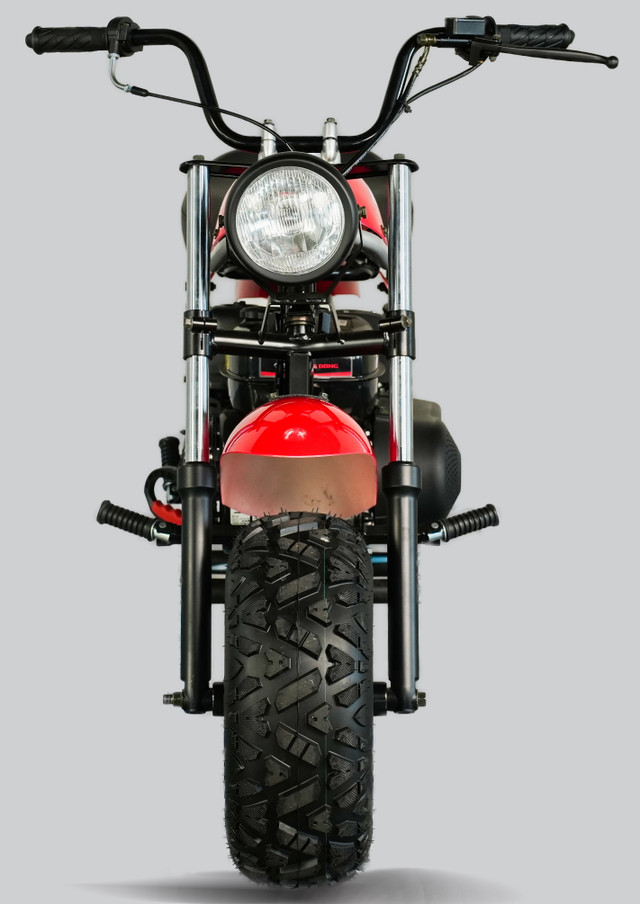 TrailMaster MB200-2 Mini Bike