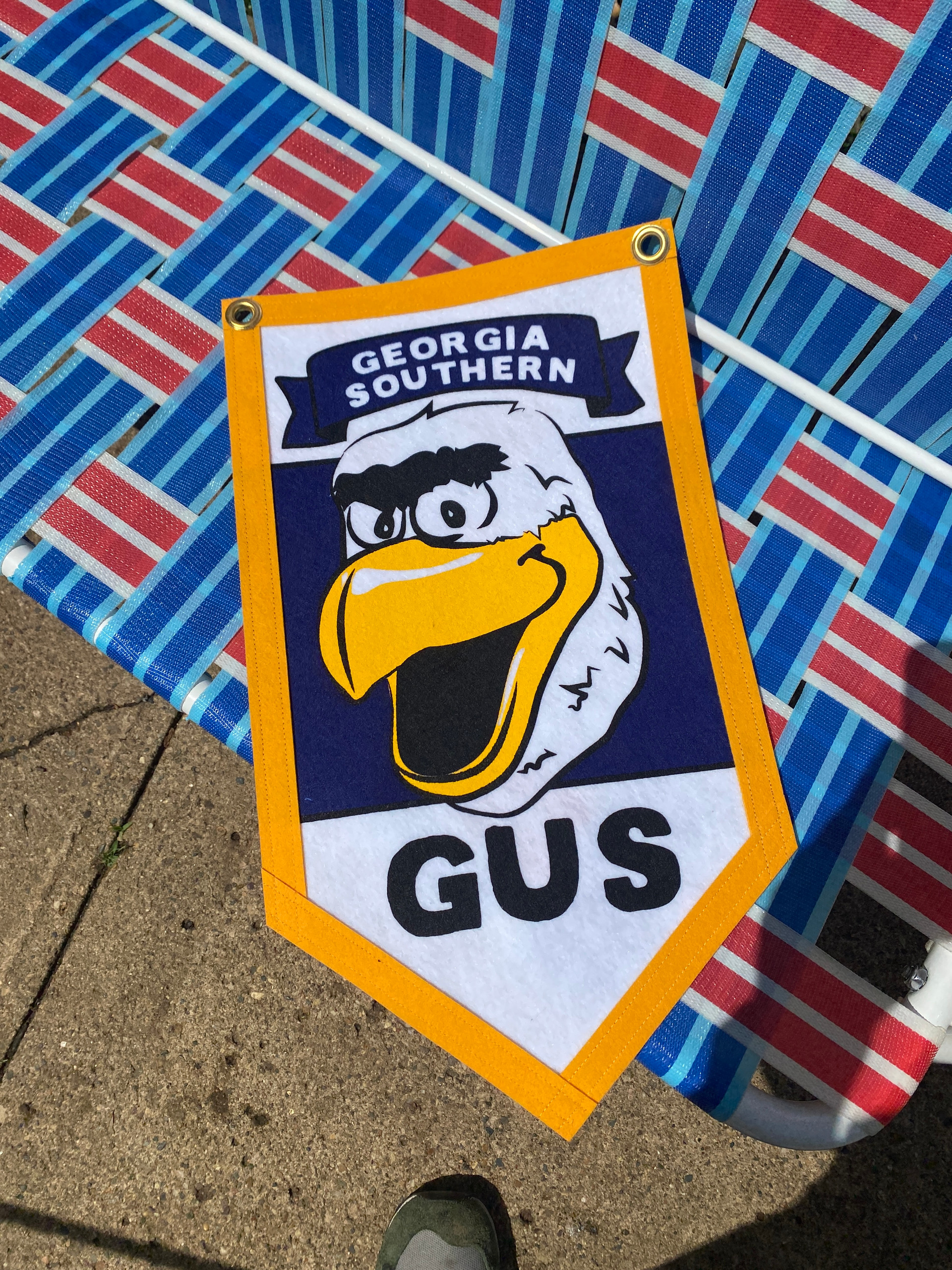 Georgia Southern Banner