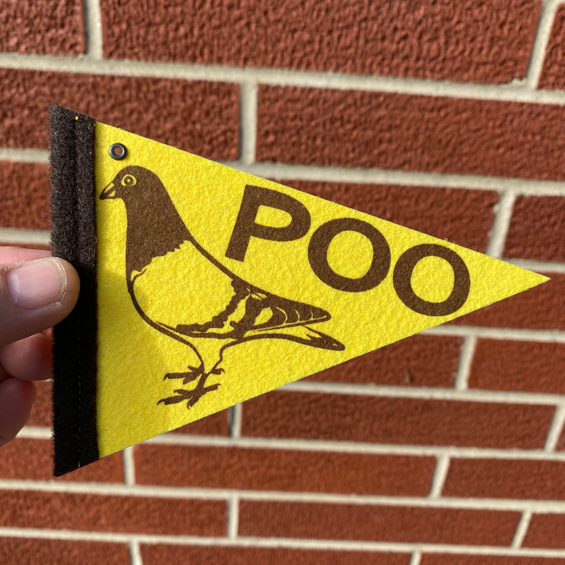 Pigeon Poo pint-sized pennant
